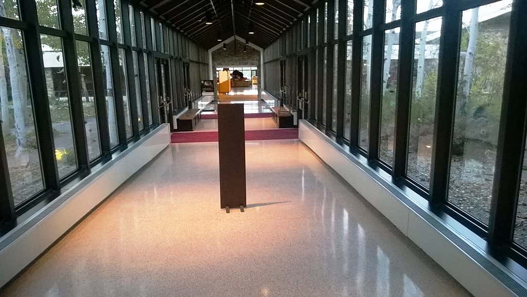 Feather guards stop bird hits - Buffalo Bill Center of the West