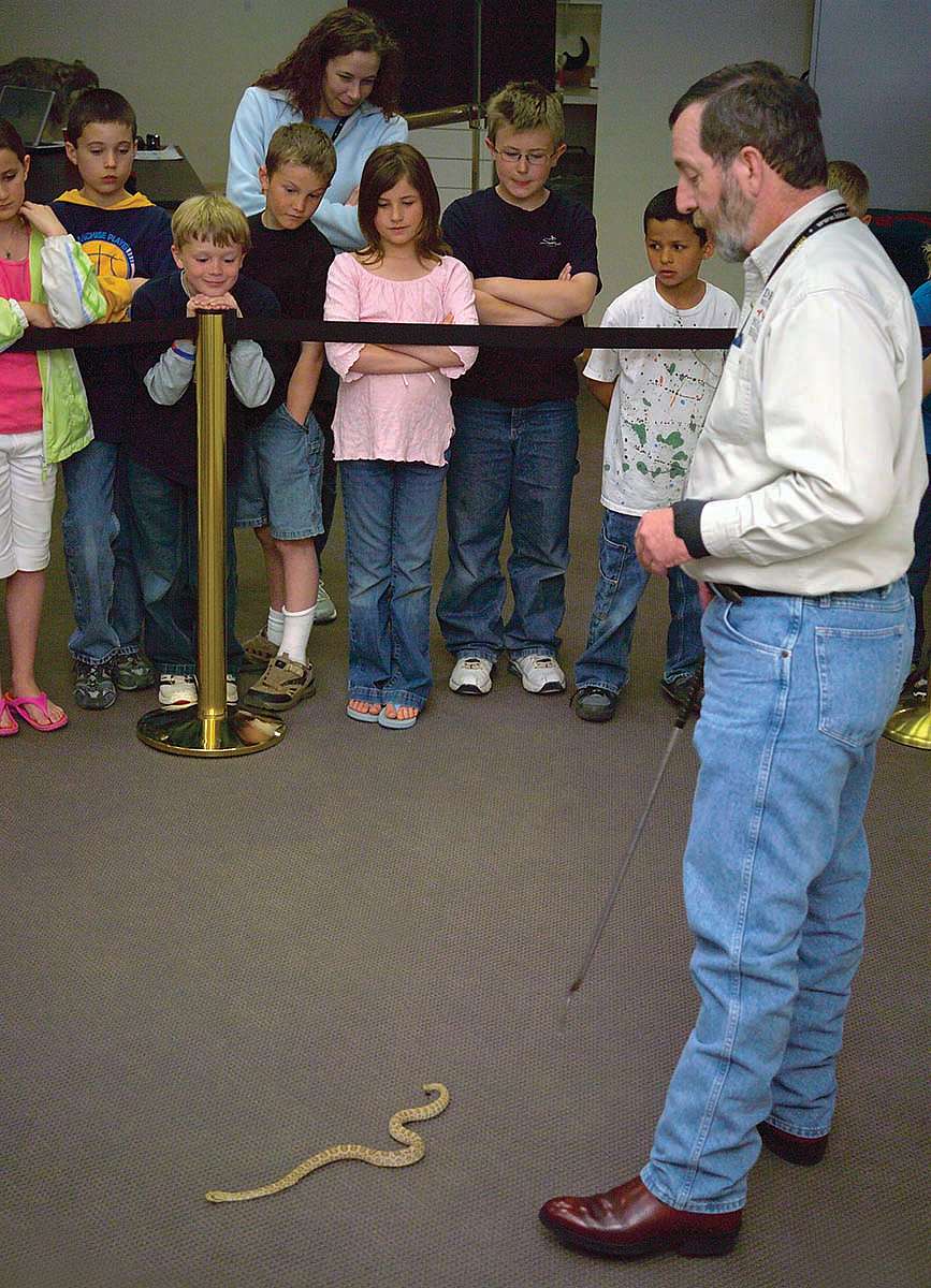 Points West: All That Slithers, Reptiles of the Greater Yellowstone Region