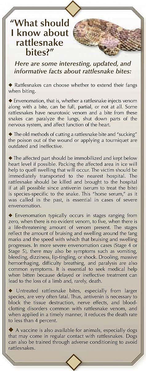 Points West: All That Slithers, Reptiles of the Greater Yellowstone Region