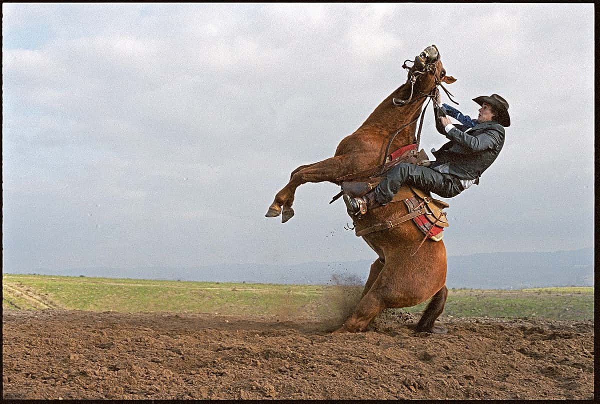 Behind the Scenes of That Day: Pictures of the American West - Buffalo ...