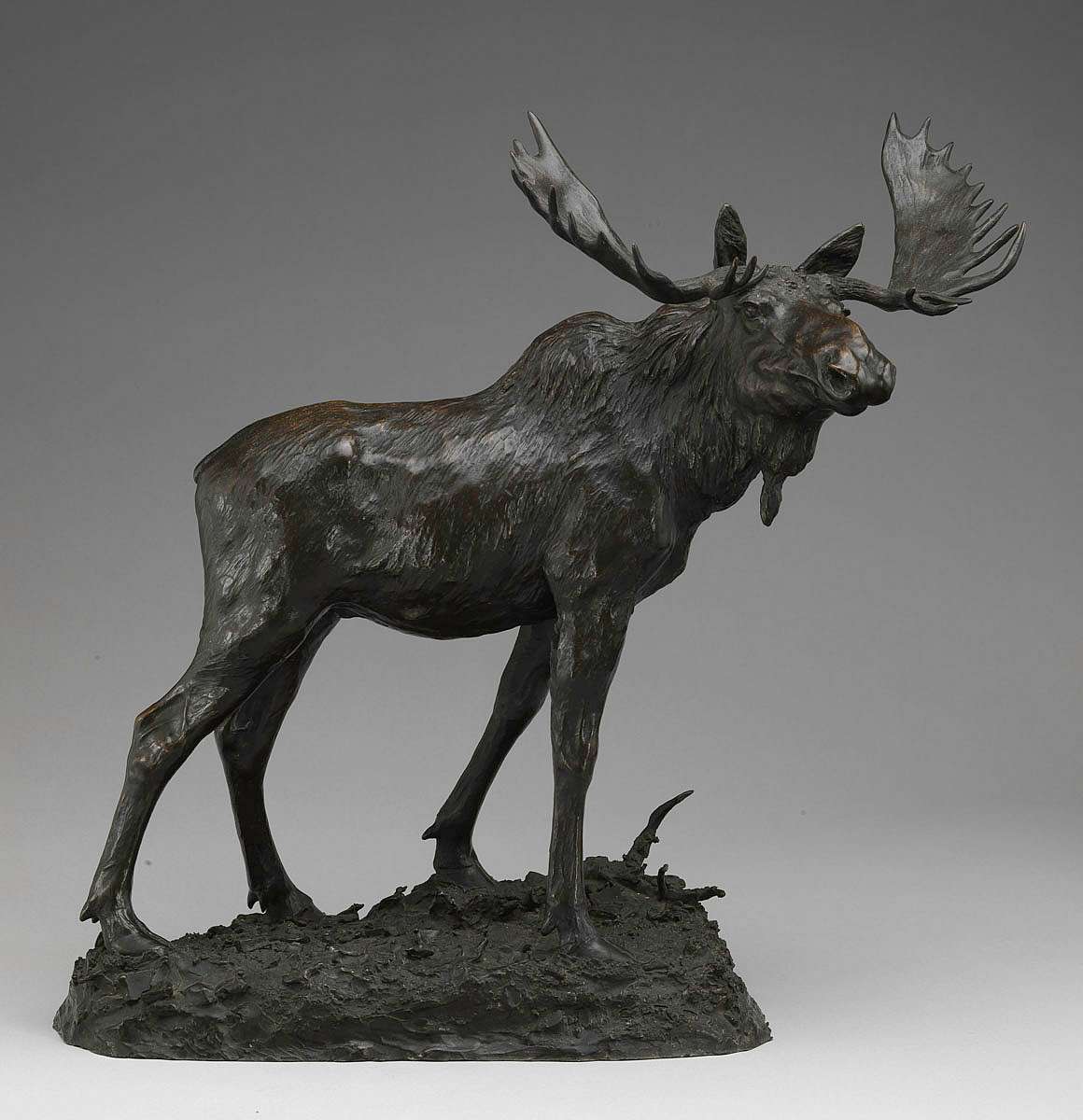 Moose by Alexander Phimister Proctor (Bull Moose)