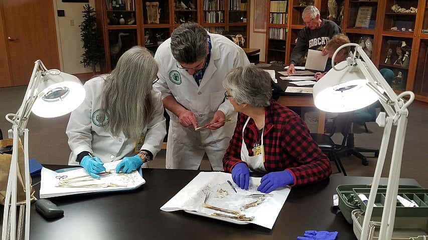 Specimen Preparation: Everything You Need To Know - Buffalo Bill Center ...