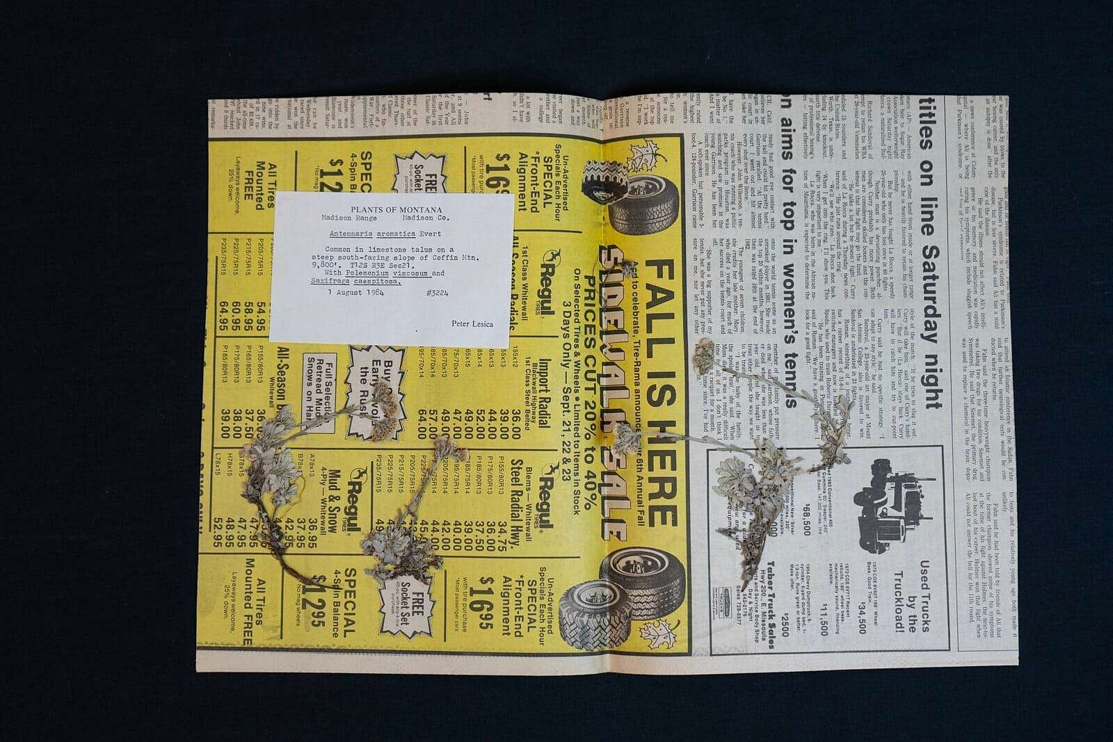 The Herbarium of Erwin Evert - Draper Natural History Museum.