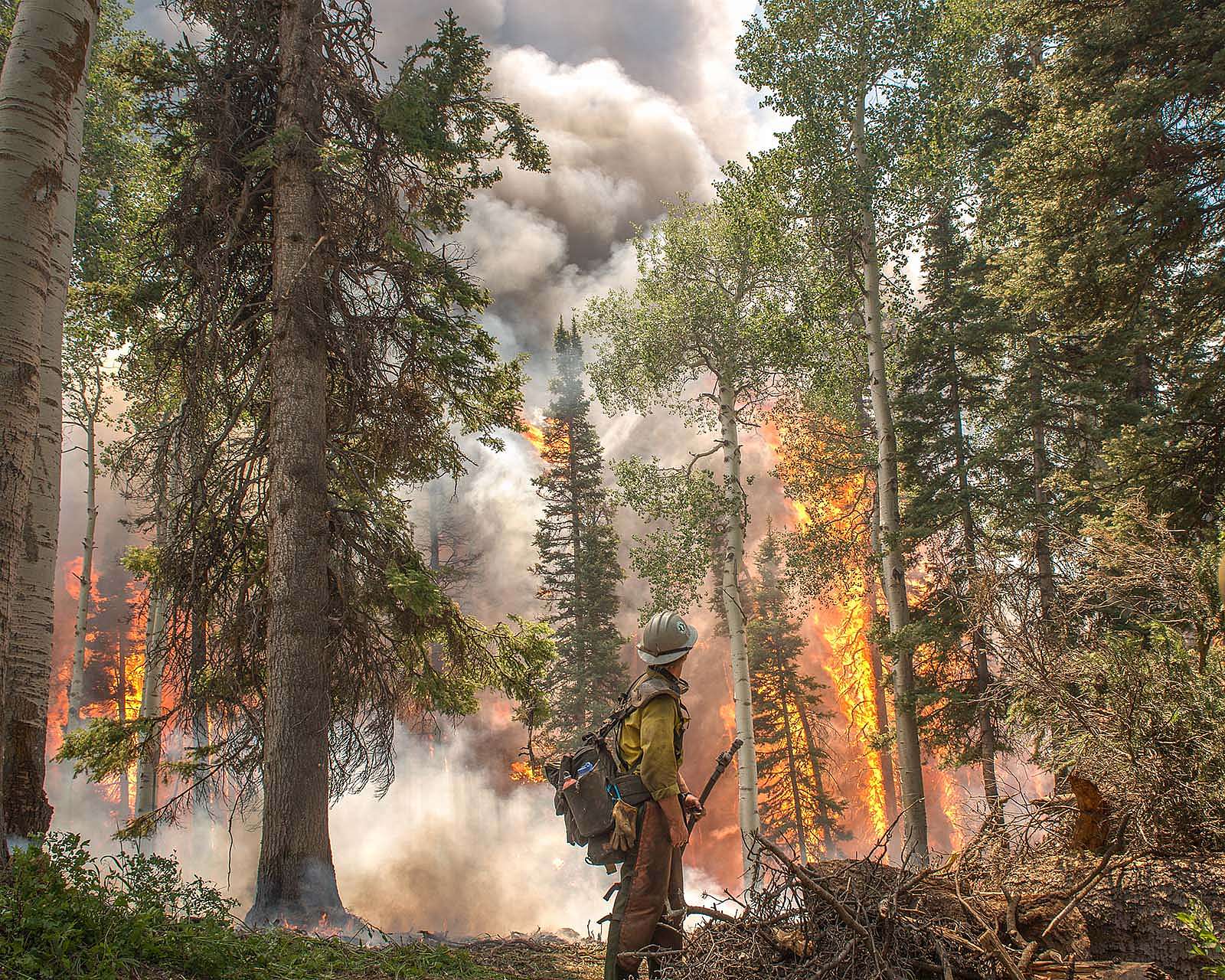 Exhibition: Fire on the Mountain - Wildland Firefighting - Kyle Miller