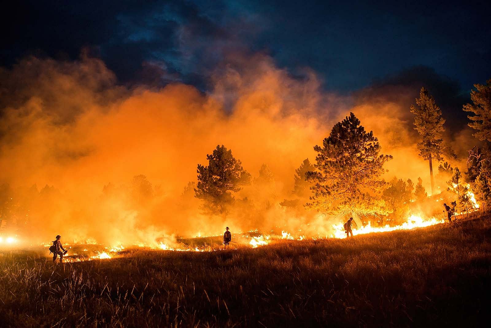 Exhibition: Fire on the Mountain - Wildland Firefighting - Kyle Miller