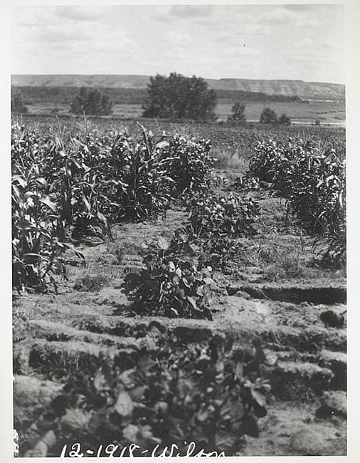 Paul Dyck Collection Hidatsa - Buffalo Bill Center of the West