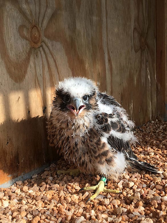 Hacking: What it is and How it’s Done - Buffalo Bill Center of the West