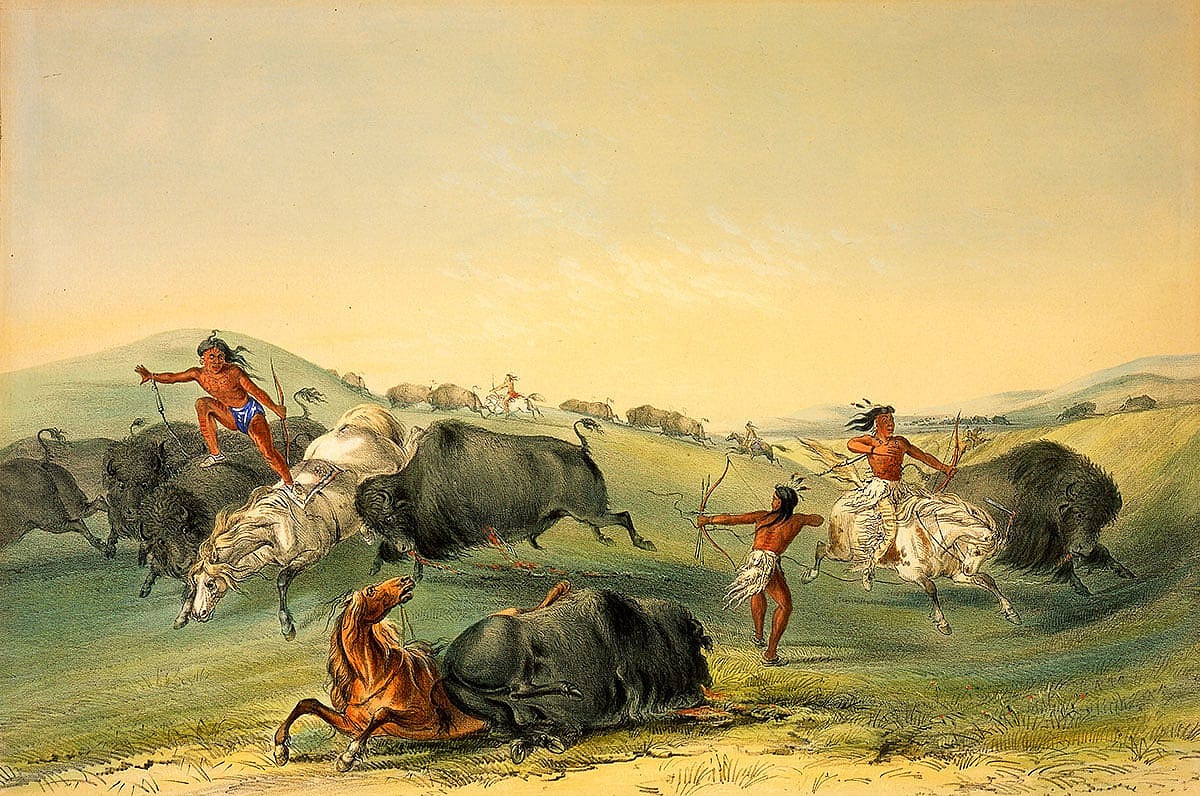 Great Plains Indians Animals