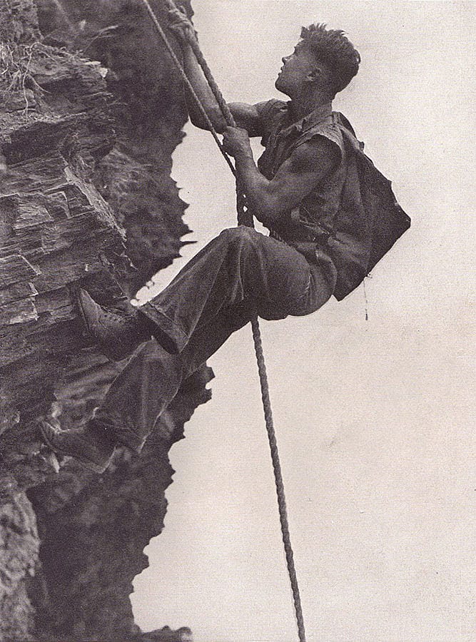 Points West Online: New Adventures with Birds of Prey