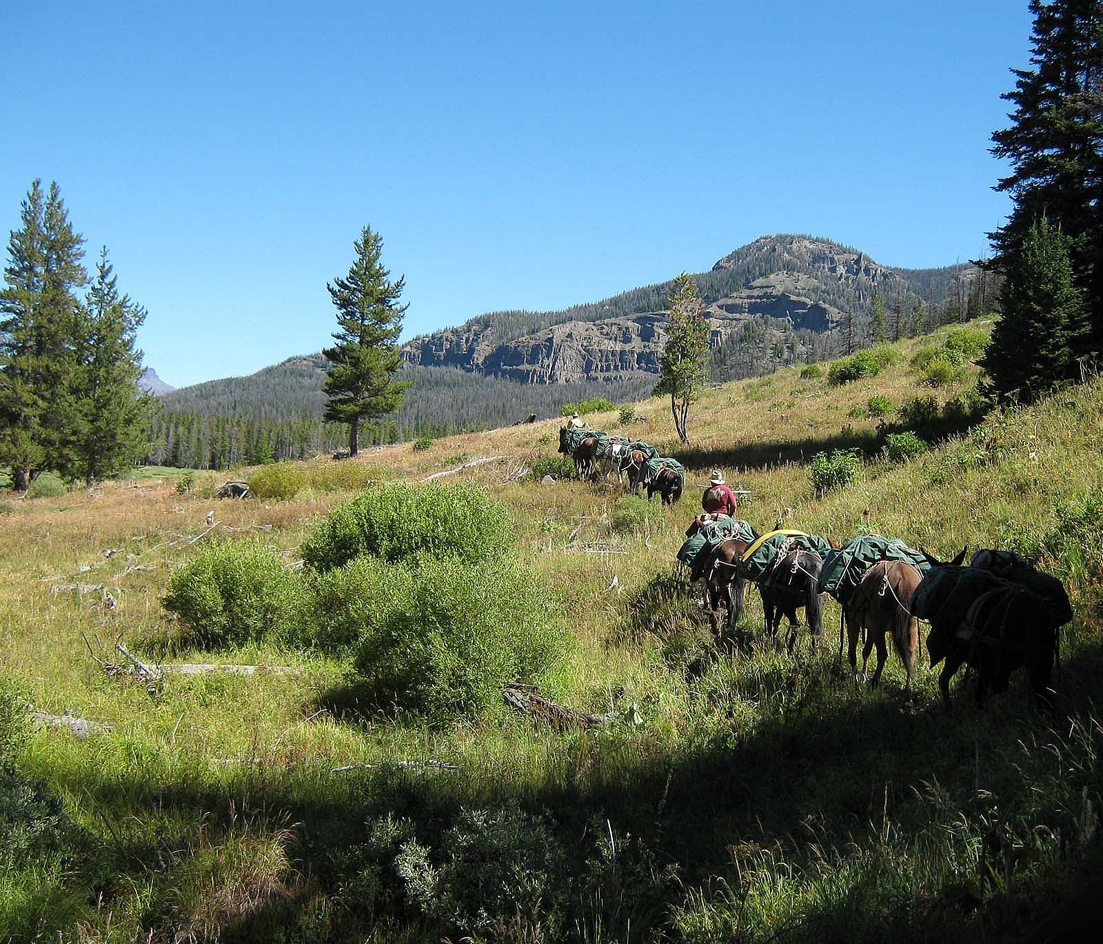 Points West Online: Into the Yellowstone Wilds - pack trip