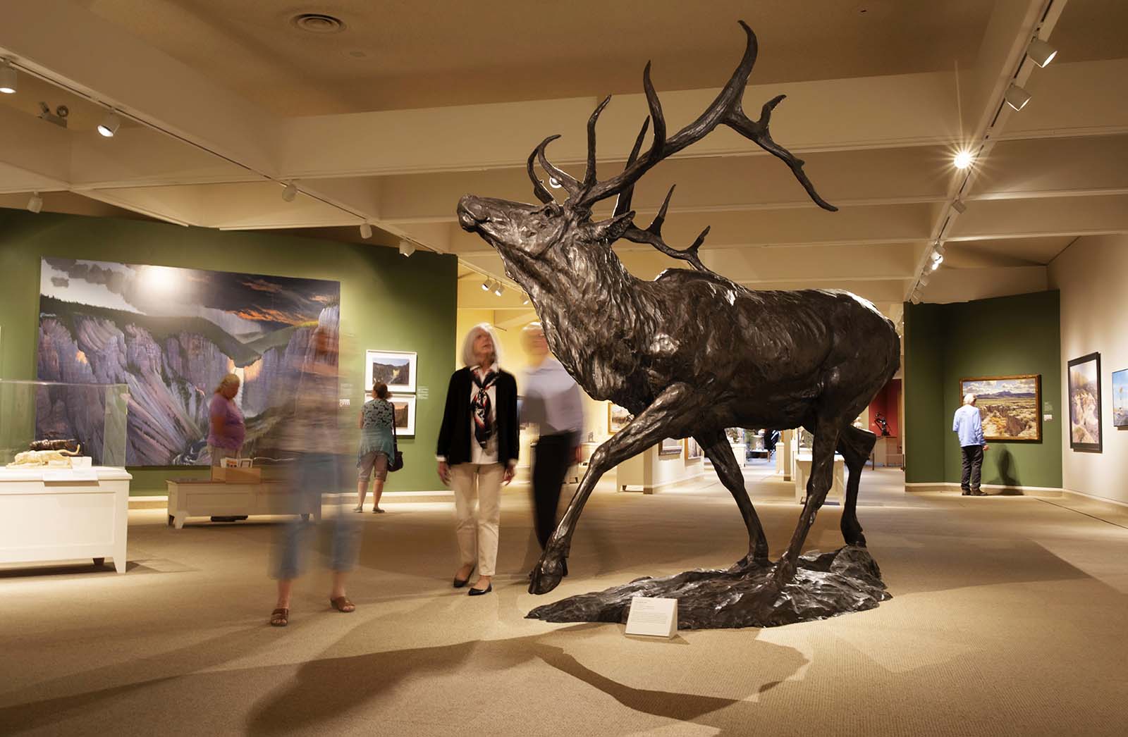 WWAM-elk - Buffalo Bill Center of the West