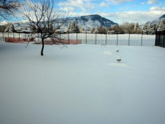 Weathering Winter - Raptor Style! - Buffalo Bill Center of the West