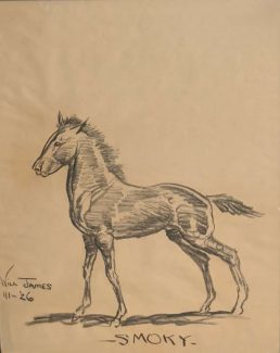 Everything You Need to Know About Will James - Buffalo Bill Center of ...