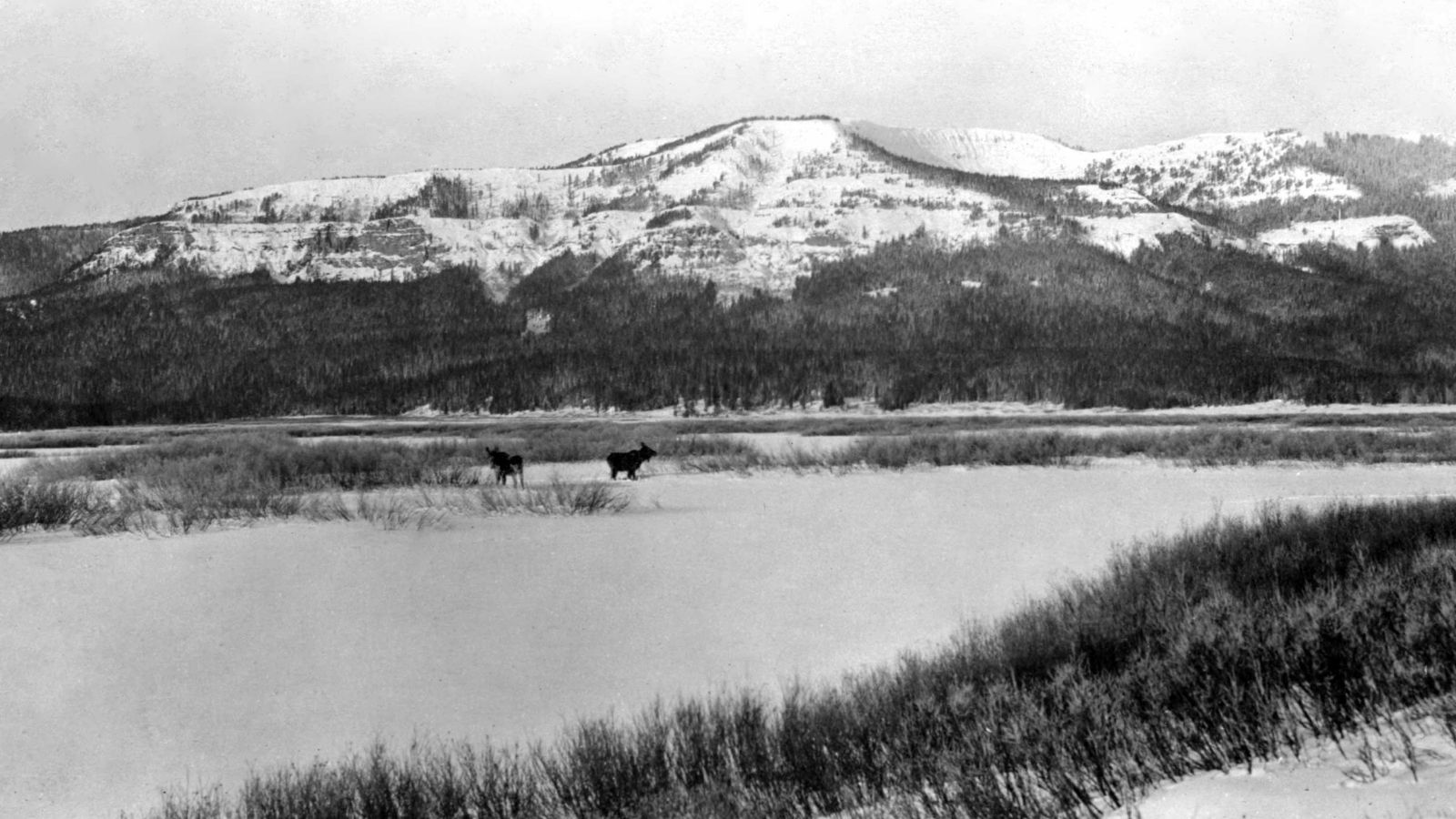 Mountain Men of the Old School - Buffalo Bill Center of the West