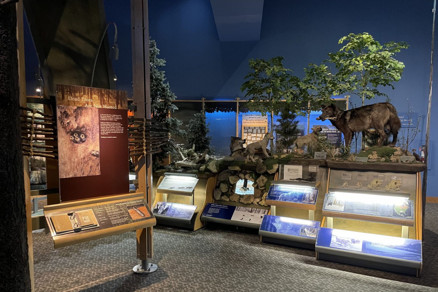 PR Images - Buffalo Bill Center of the West