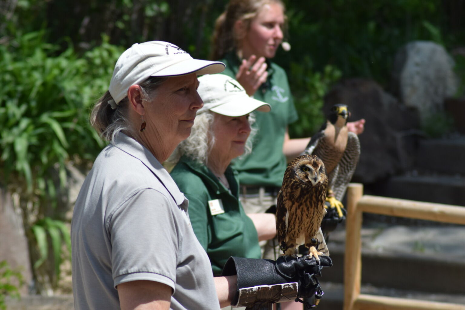 Equipment of a raptor handle - Draper Museum Raptor Experience