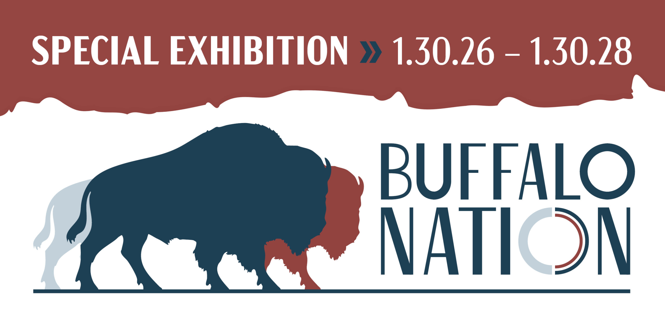Why These Objects? A Closer Look at the Buffalo Nation Spotlights ...