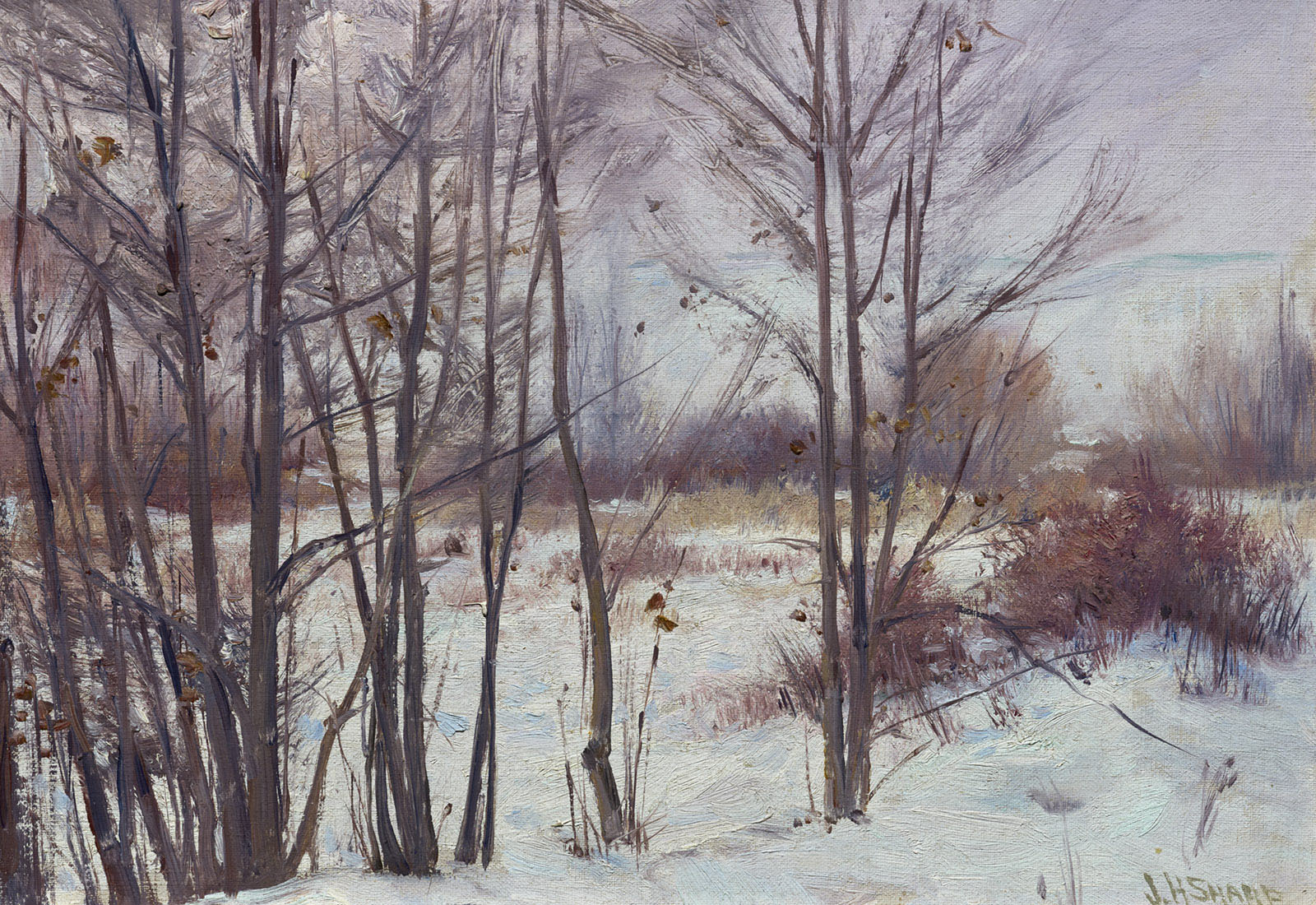 The Winter Screen - Joseph H. Henry Sharp Catalogue - Buffalo Bill ...